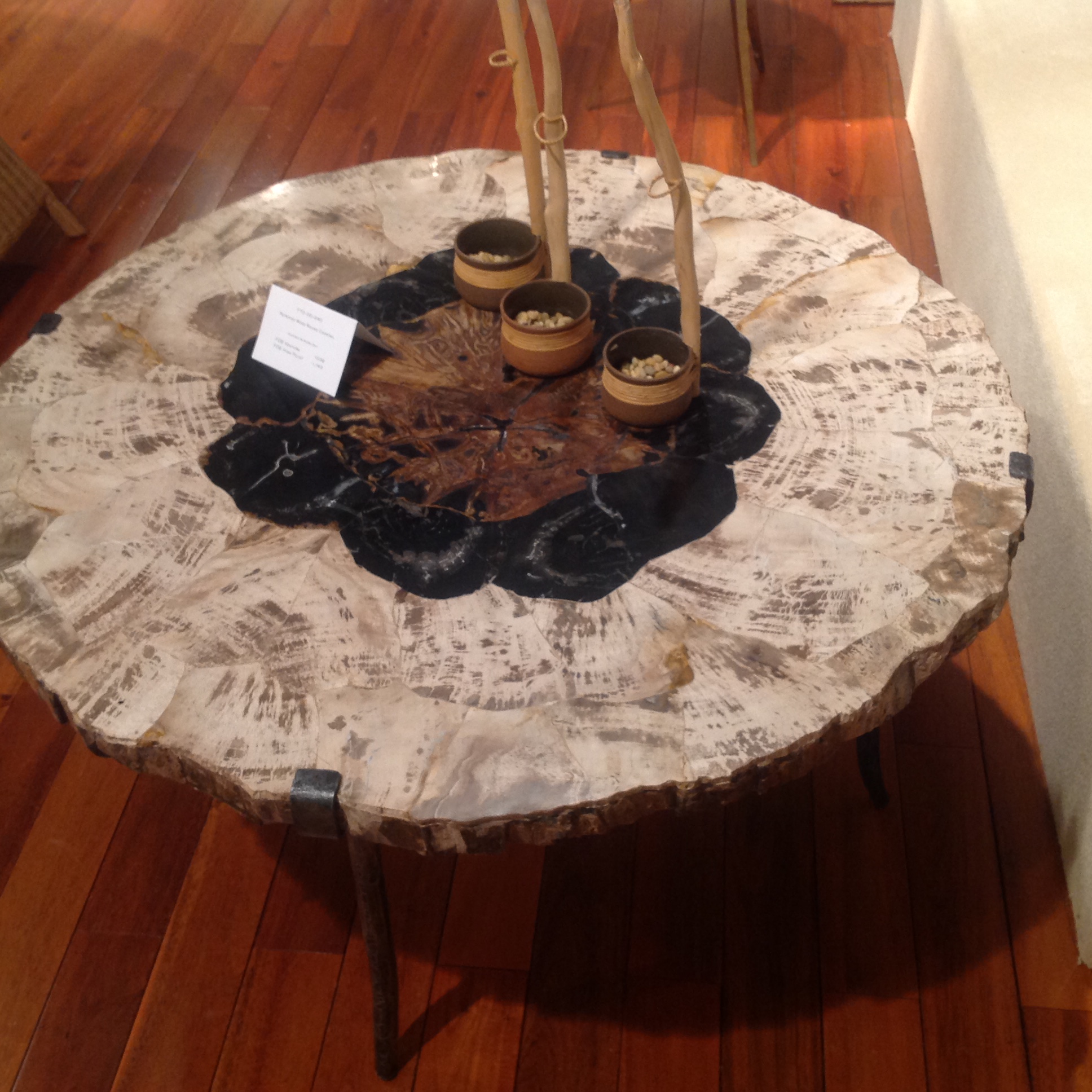 Nature-Inspired Design